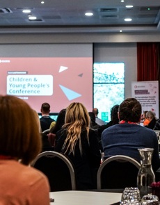 The Regulation and Quality Improvement Authority (RQIA)