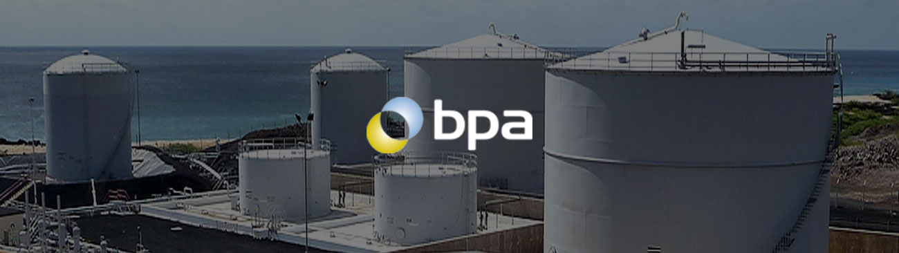 British Pipeline Agency | Access Financials Case Study