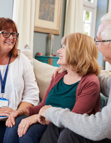 The Regulation and Quality Improvement Authority (RQIA)