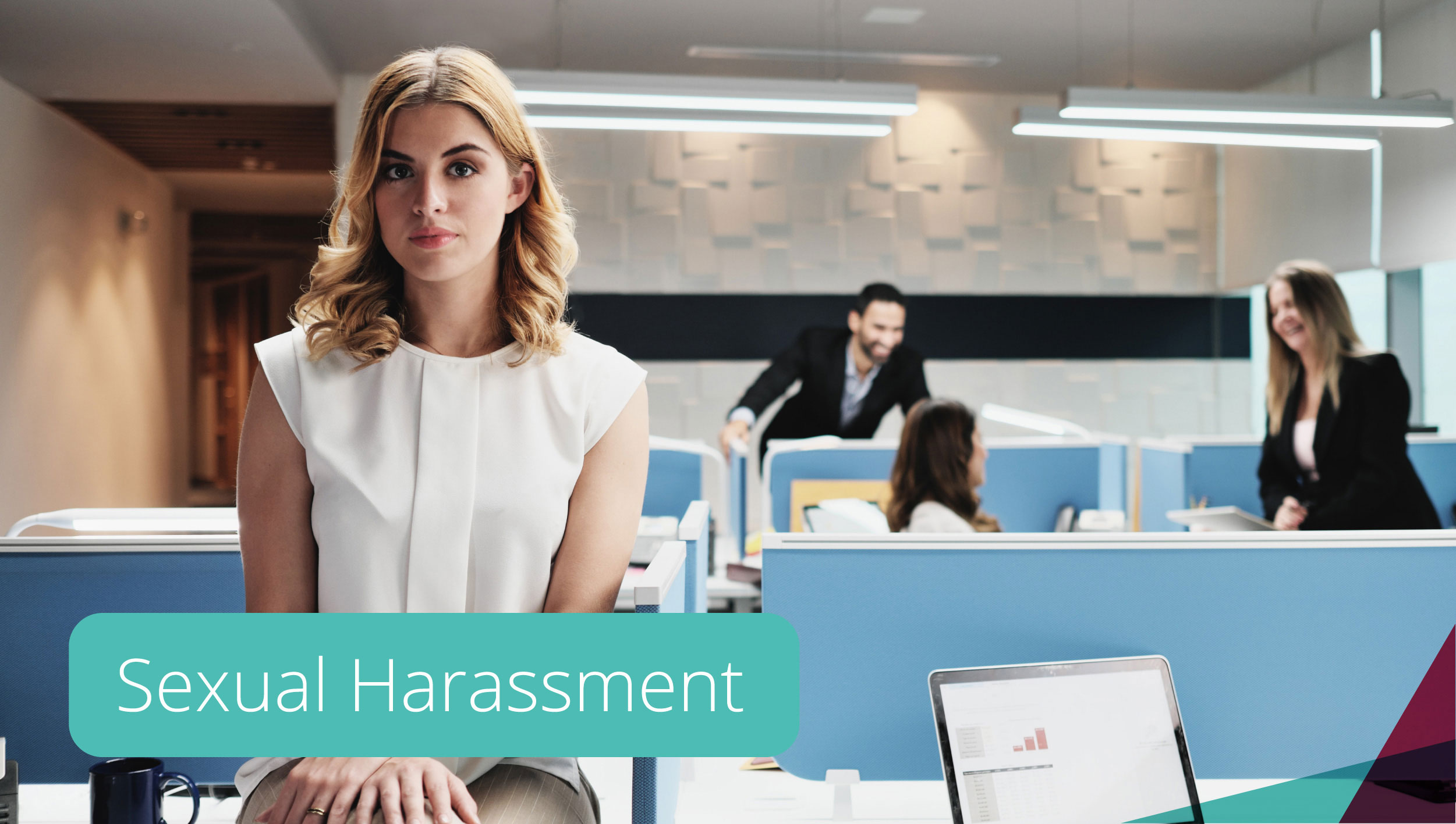 Sexual Harassment eLearning course