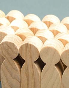 The Regulation and Quality Improvement Authority (RQIA)