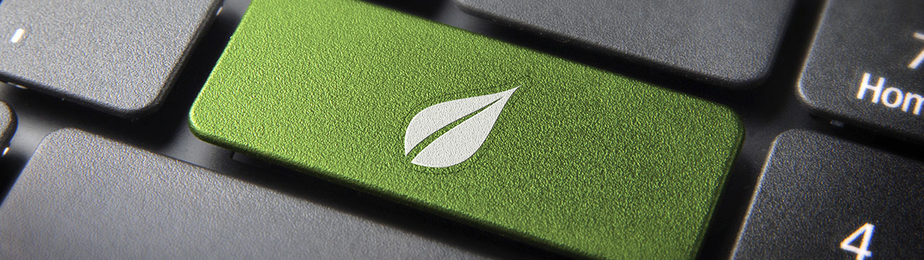 What is green IT, and how can it save you money?
