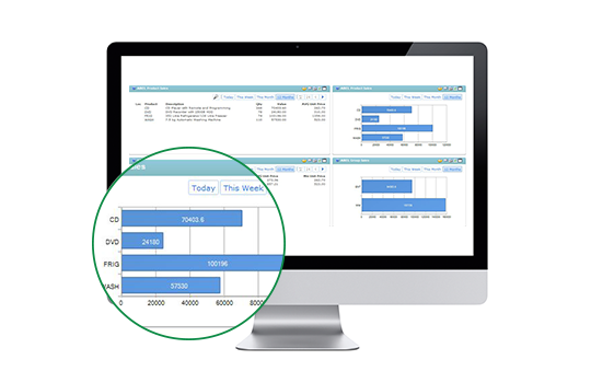 On-Premise Accounting Software | Software For Your Business