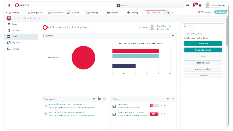 Access Workspace - Our unique software platform