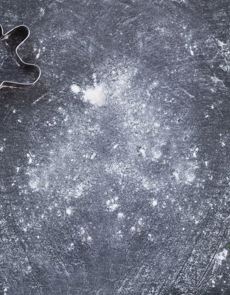 The Regulation and Quality Improvement Authority (RQIA)