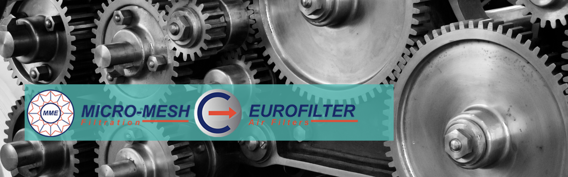 How Micro-Mesh Use Data To Identify Most Profitable Customers